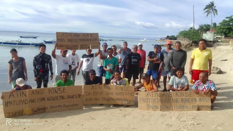 Tañon Strait Over the Years: Challenges and Progress in Marine ...